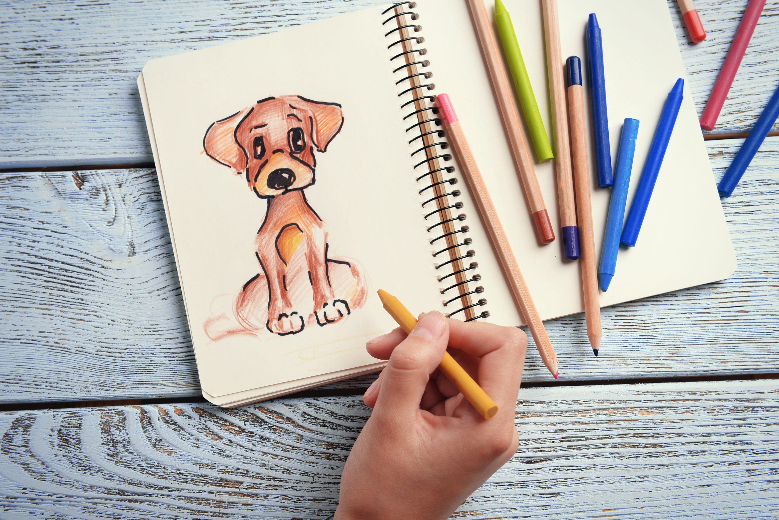 How to draw a dog